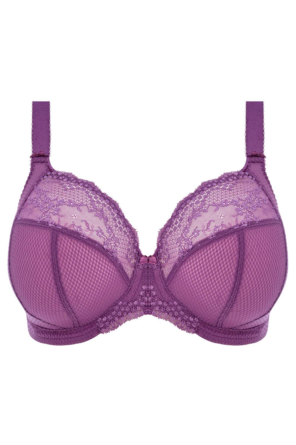 Elomi Charley Stretch Plunge Bra Pansy